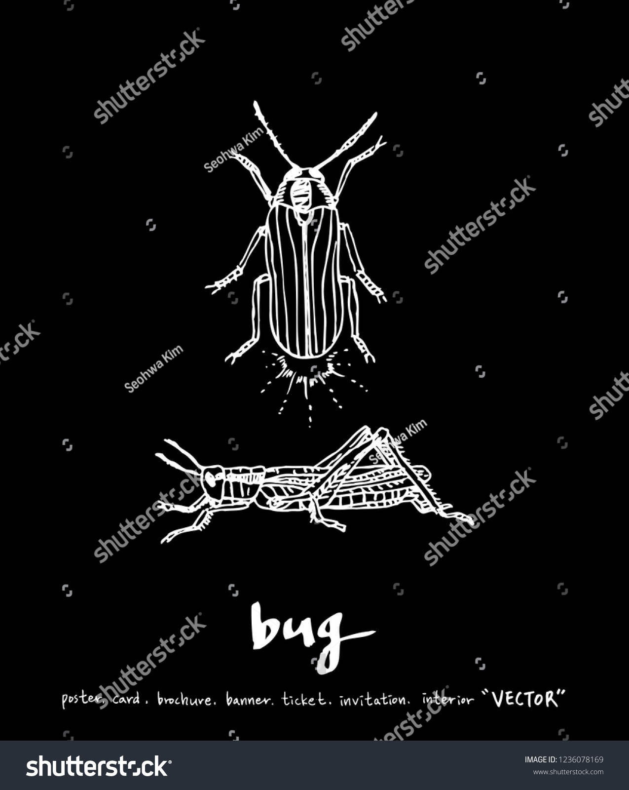 Bug Sketch Hand Drawn Insect Illustration Stock Vector (Royalty Free ...