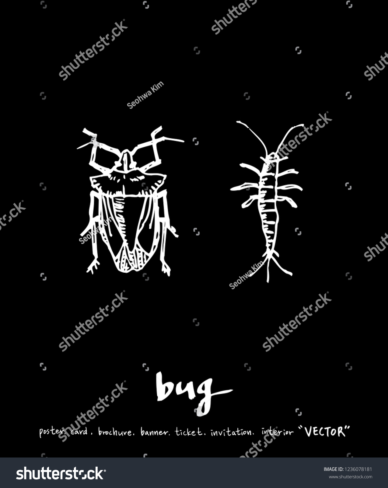 Bug Sketch Hand Drawn Insect Illustration Stock Vector (Royalty Free ...
