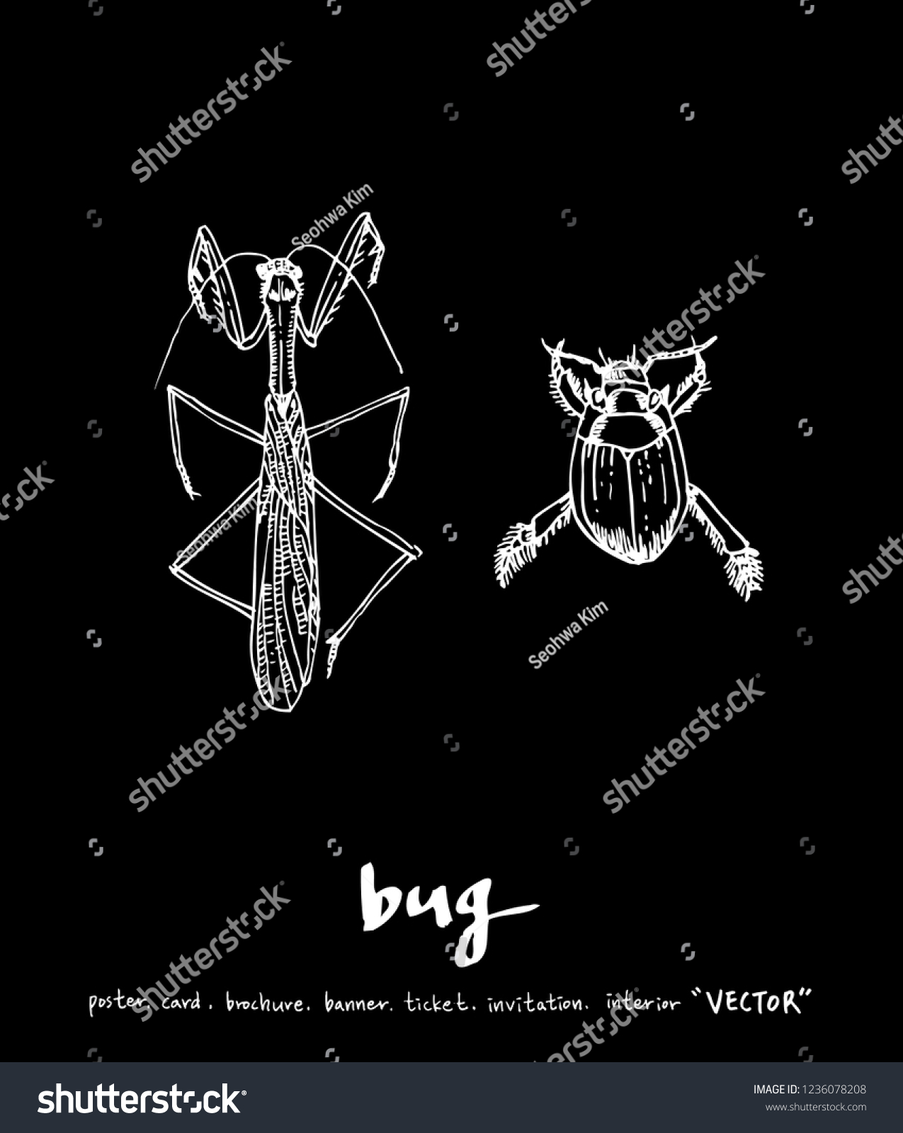 Bug Sketch Hand Drawn Insect Illustration Stock Vector (Royalty Free ...