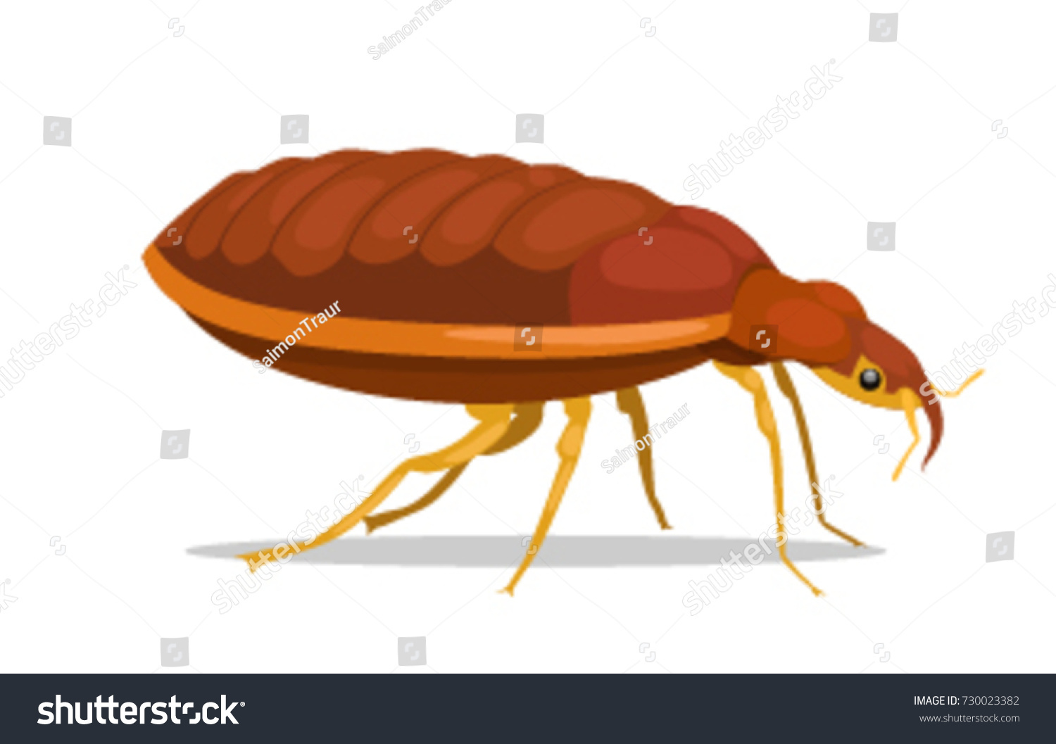 Bug Vector Illustration Isolated On White Stock Vector (Royalty Free ...