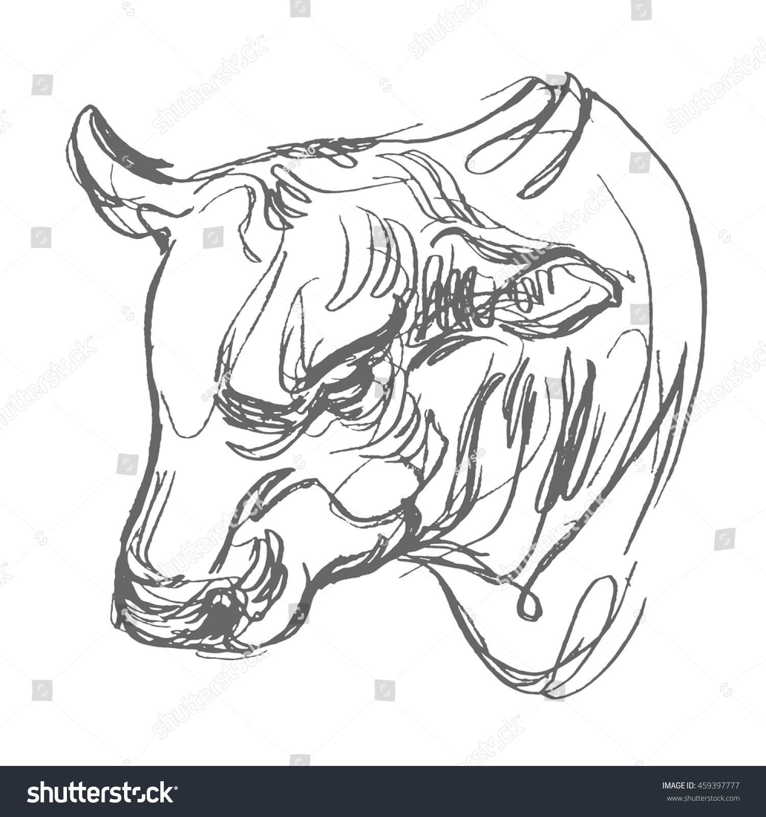 Bull Vector Hand Draw Sketch Stock Vector (Royalty Free) 459397777 ...
