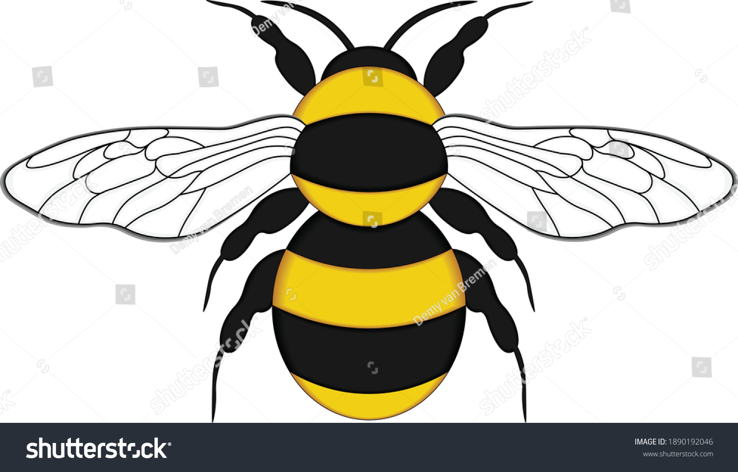 Bumblebee Vector Drawing Top View Stock Vector (Royalty Free) 1890192046