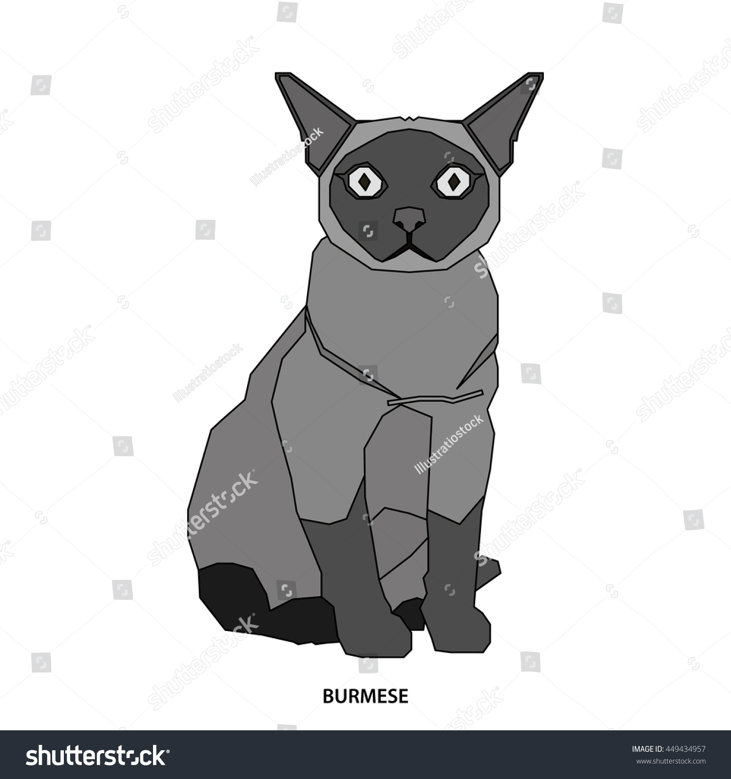 Burmese Isolated Cat Breed Vector Illustration Stock Vector (Royalty ...