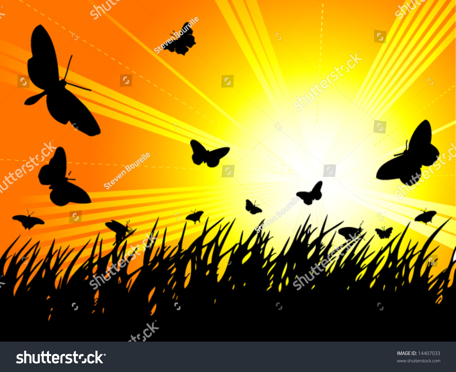 Butterflies Sunset Stock Vector (Royalty Free) 14407033