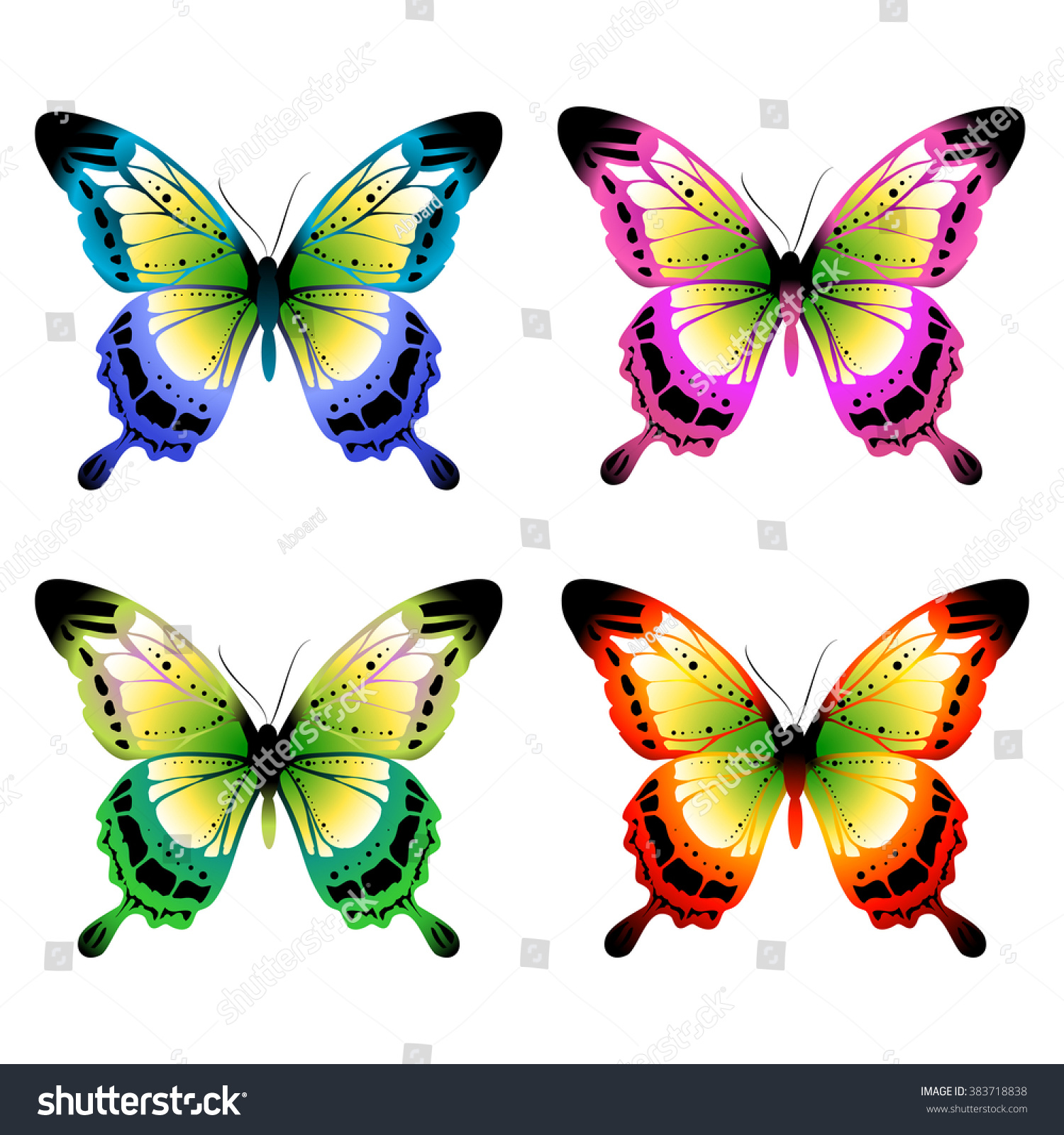 Butterflies Design Stock Vector 383718838 : Shutterstock