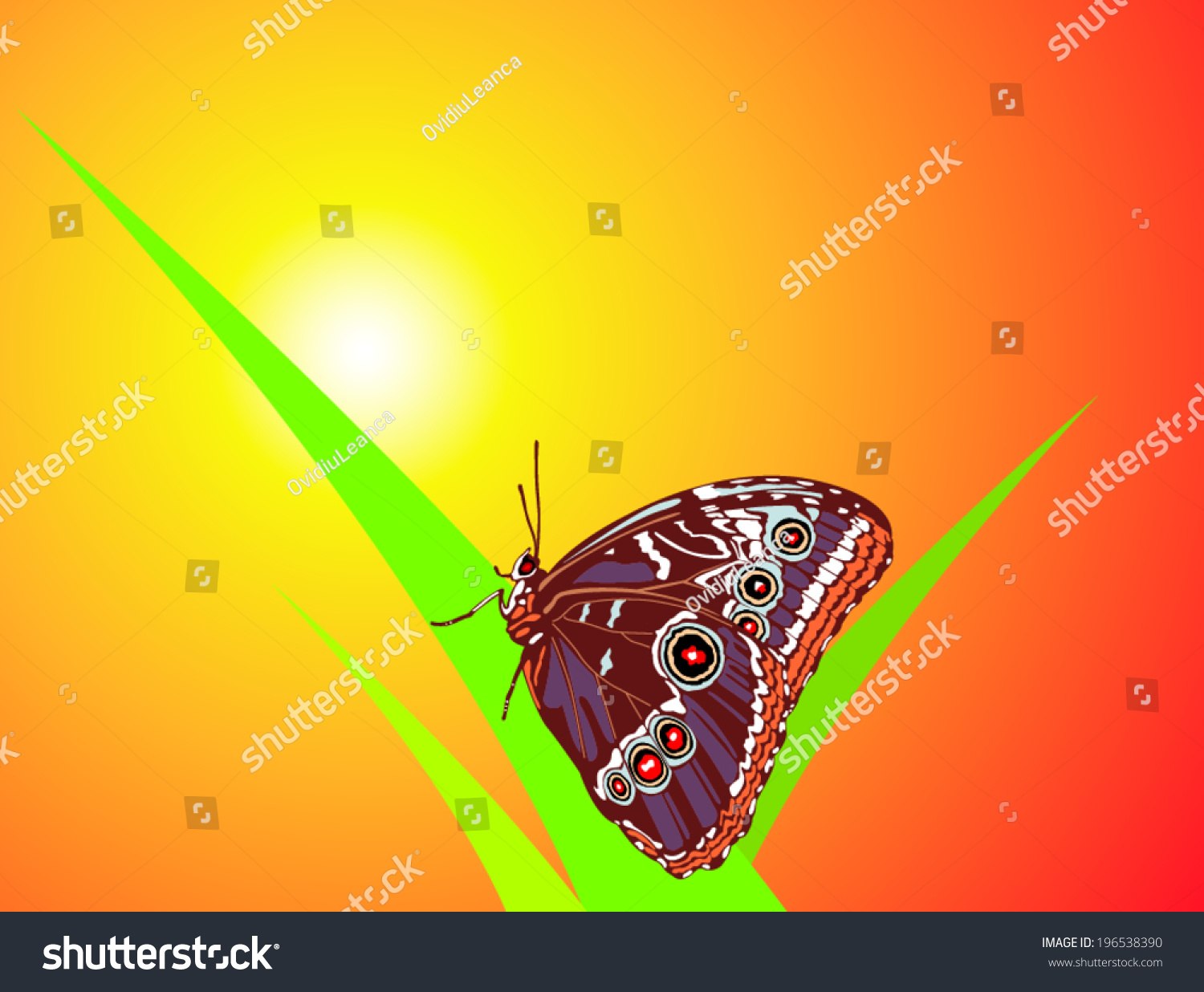 Butterfly Sunset Stock Vector (Royalty Free) 196538390 | Shutterstock