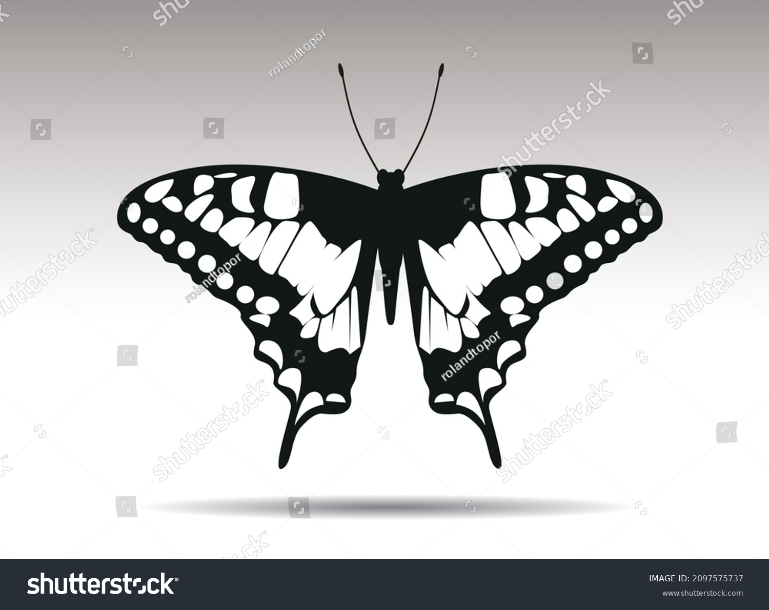 Butterfly Icon Vector Outline Illustration Stock Vector (Royalty Free ...