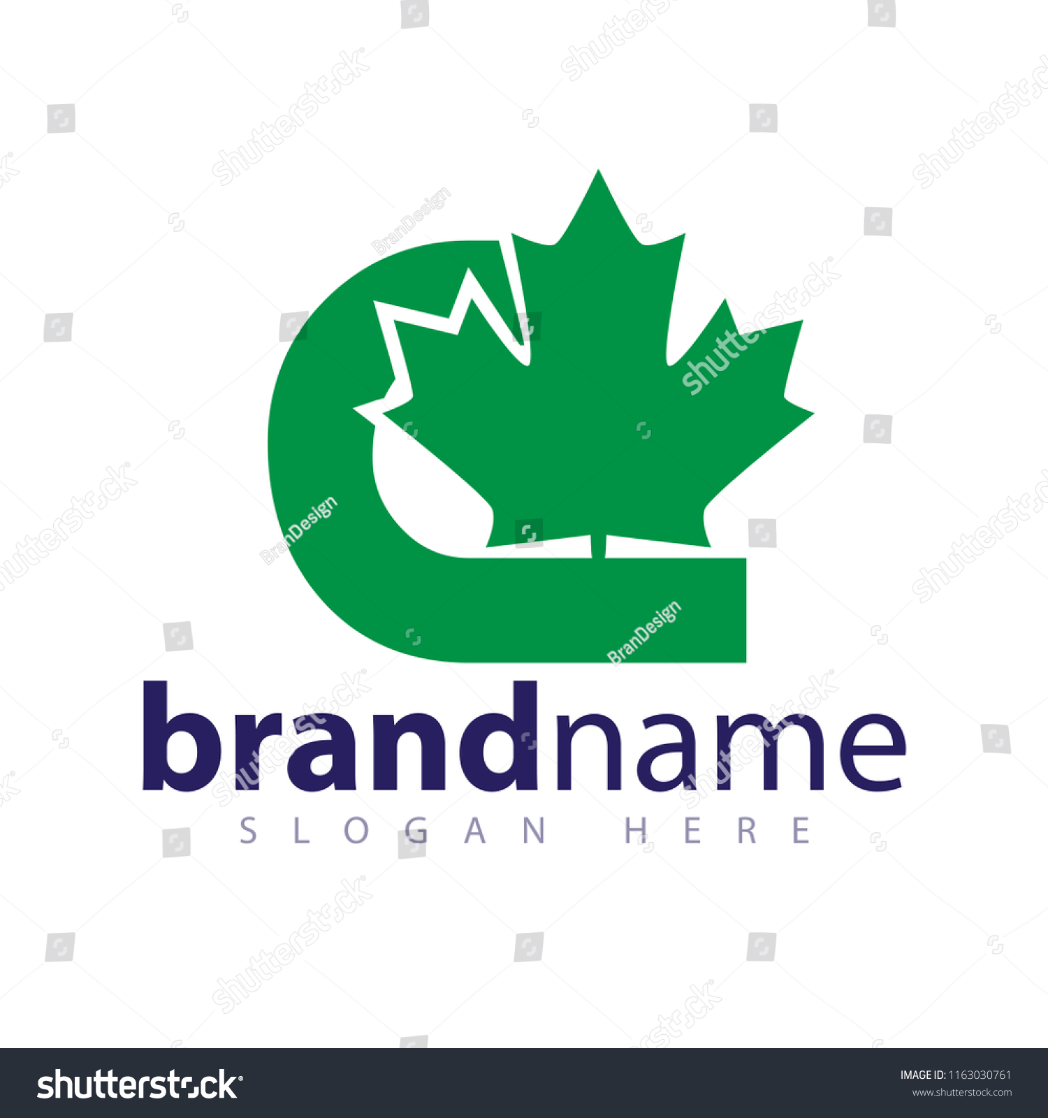 C Letter Leaf Canadian Logo Icon Stock Vector (Royalty Free) 1163030761 ...