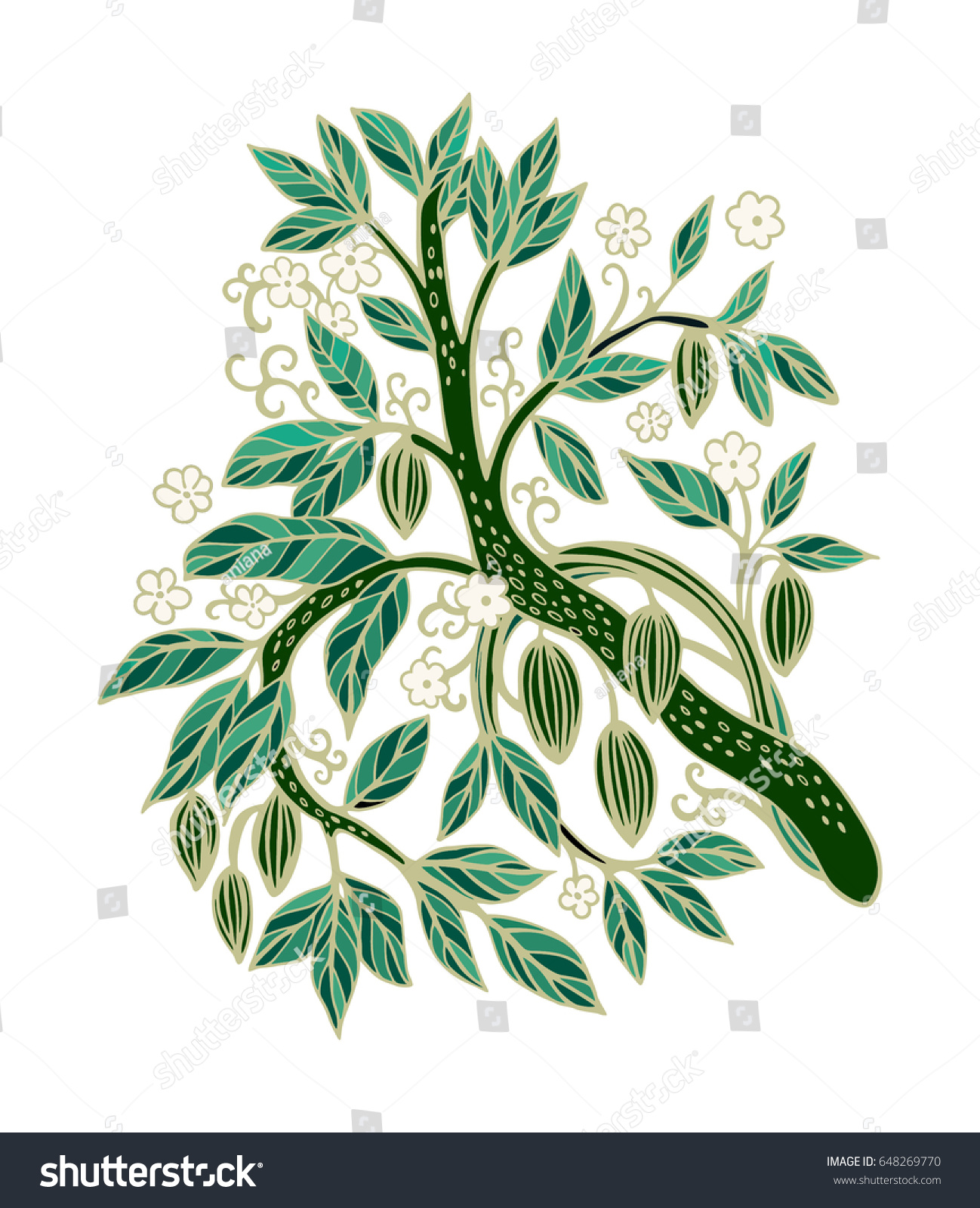 Cacao Tree Vector Illustration Stock Vector 648269770 - Shutterstock