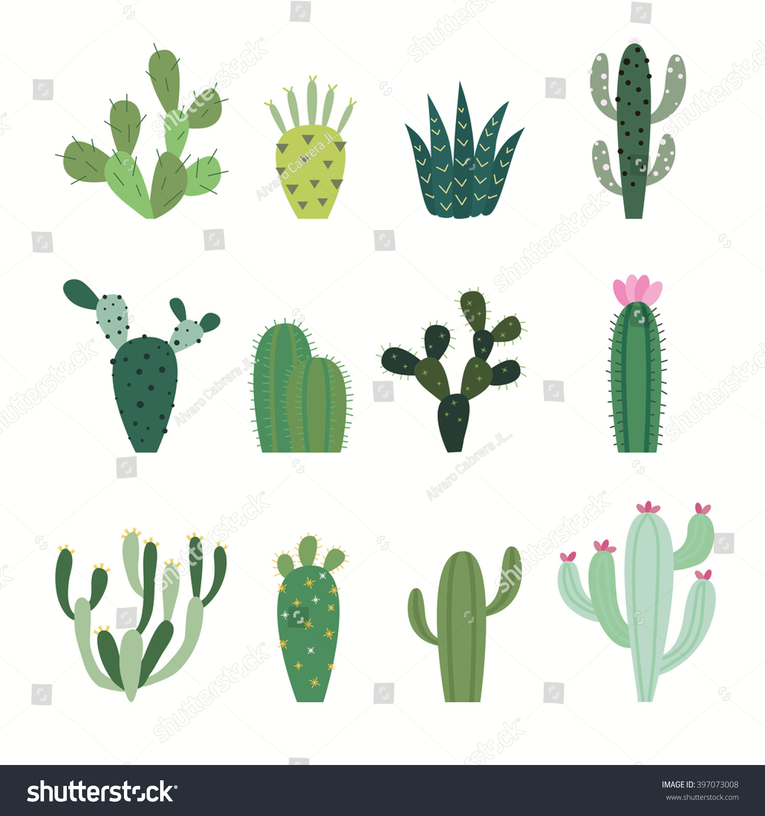 Cactus Collection Vector Illustration: เวกเตอร์สต็อก (ปลอดค่าลิขสิทธิ์ ...