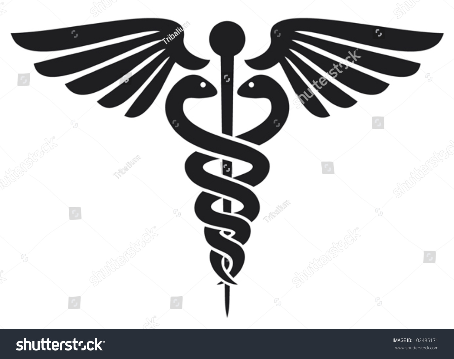 Caduceus Medical Symbol Stock Vector (Royalty Free) 102485171 Caduceus Medical Symbol Stock Vector (Royalty Free) 102485171