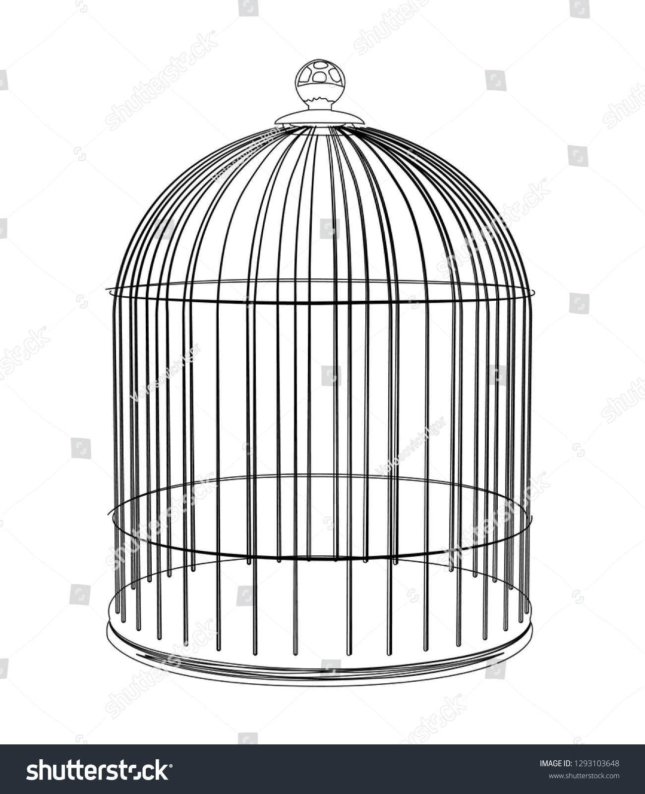 Cage Bird Contour Vector Illustration Stock Vector (Royalty Free ...