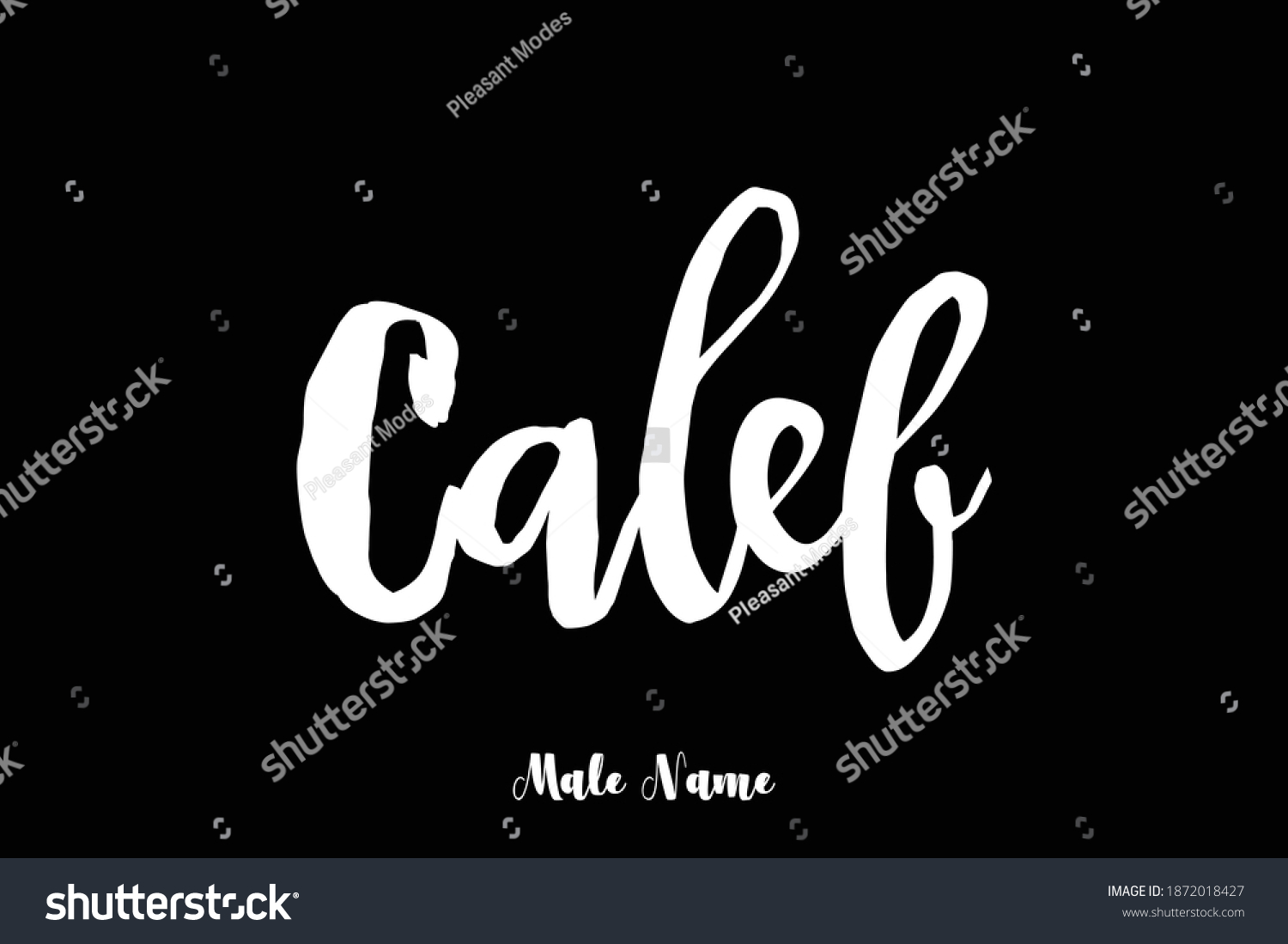 Stock vektor „Calebmale Name Bold Cursive Calligraphy Typeface“ (bez ...