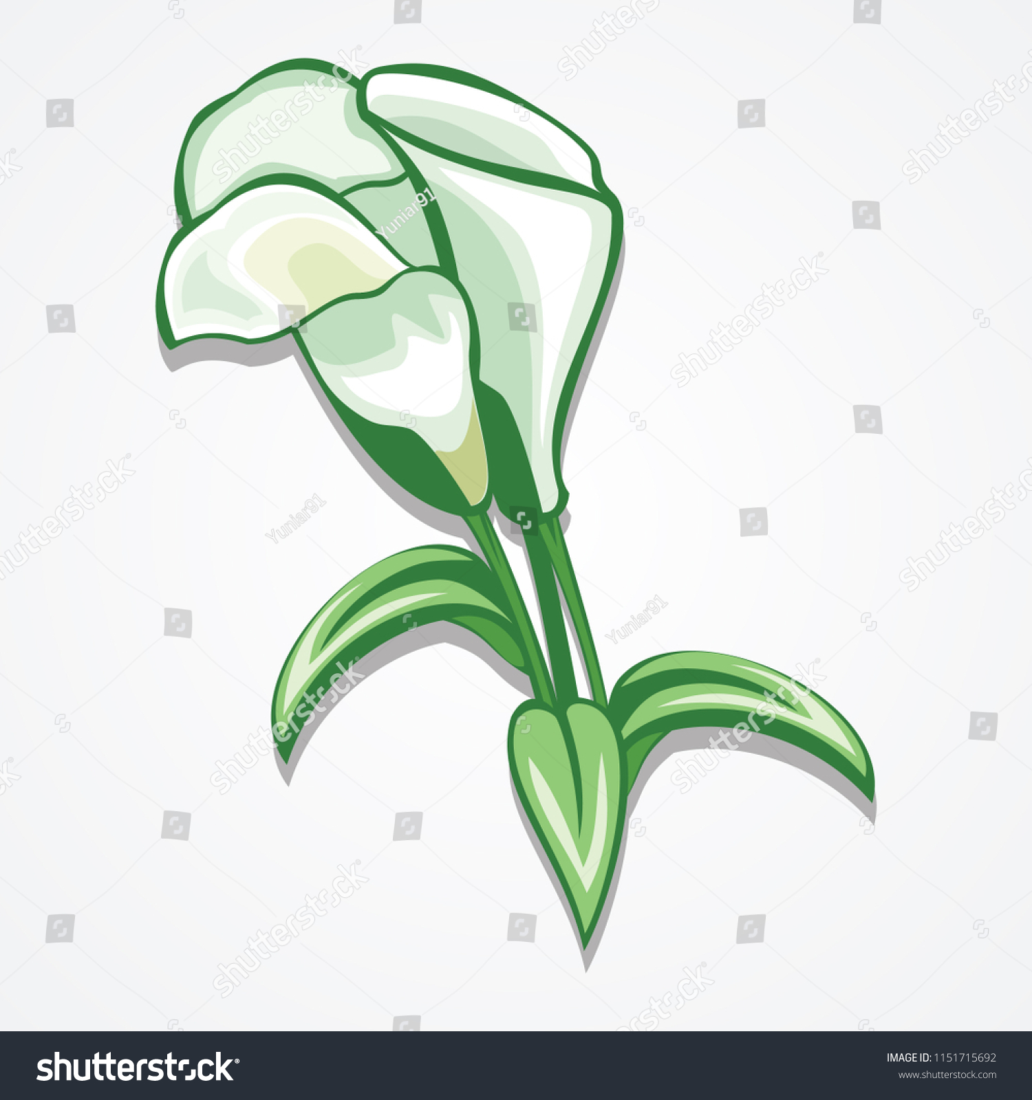 Calla Lily Flower Vector Illustration: เวกเตอร์สต็อก (ปลอดค่าลิขสิทธิ์ ...