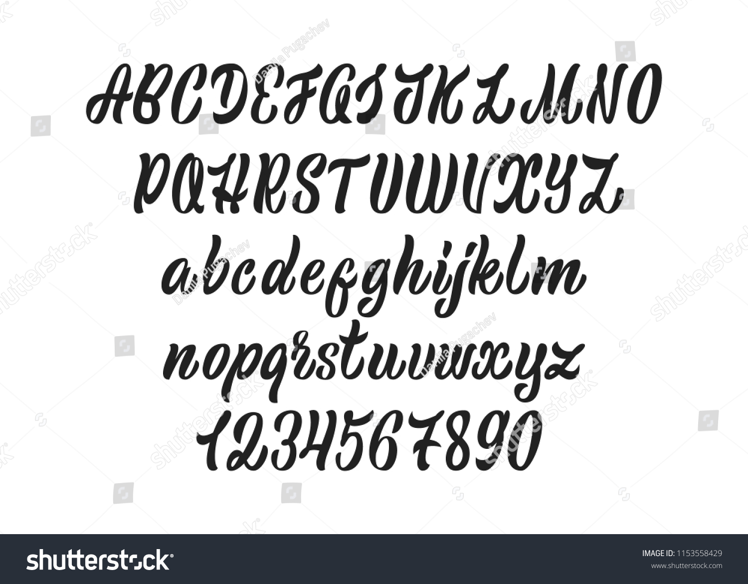 Calligraphy Font Vector Hadwritten Alphabet Stock Vector (Royalty Free ...