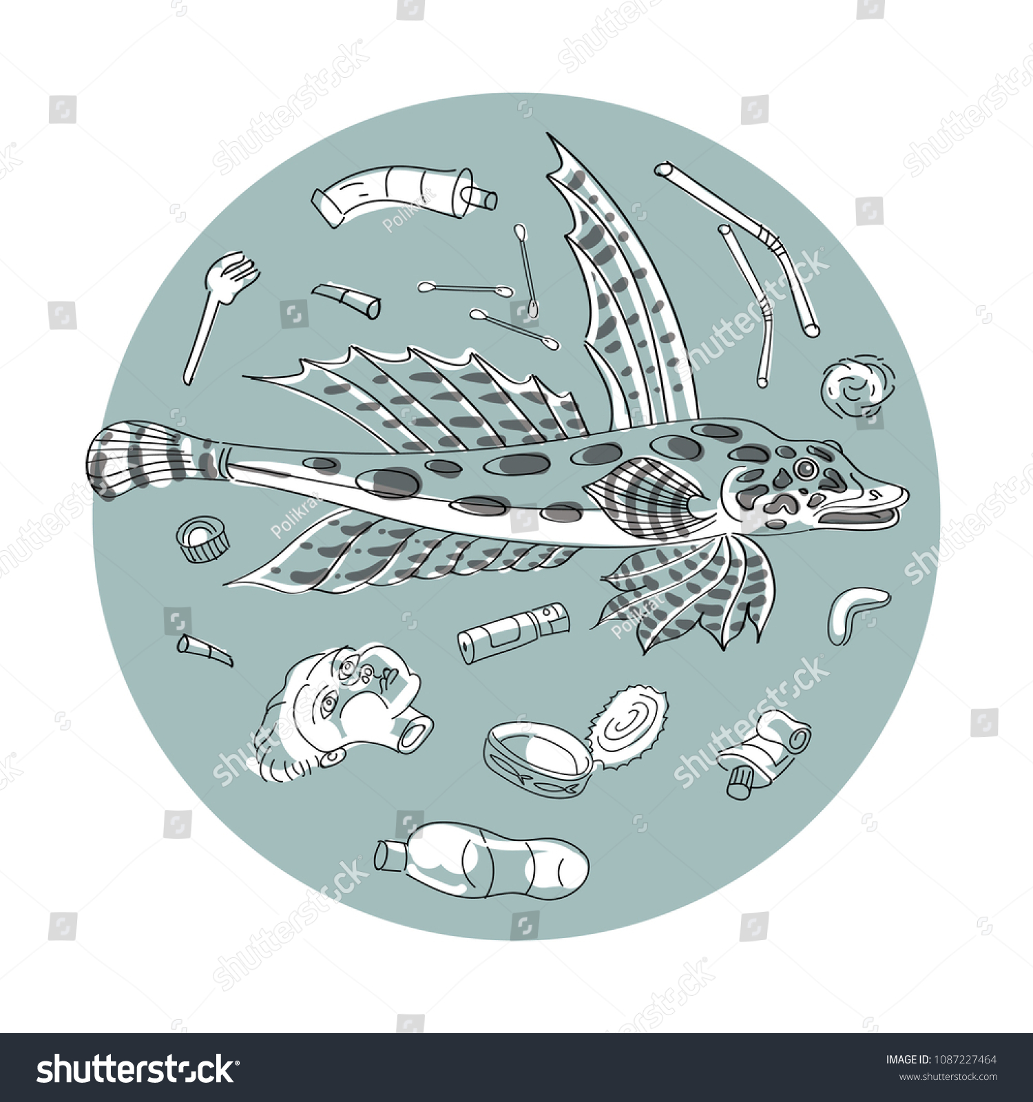 Callionymus Lyra Fish Stock Vector (Royalty Free) 1087227464 | Shutterstock