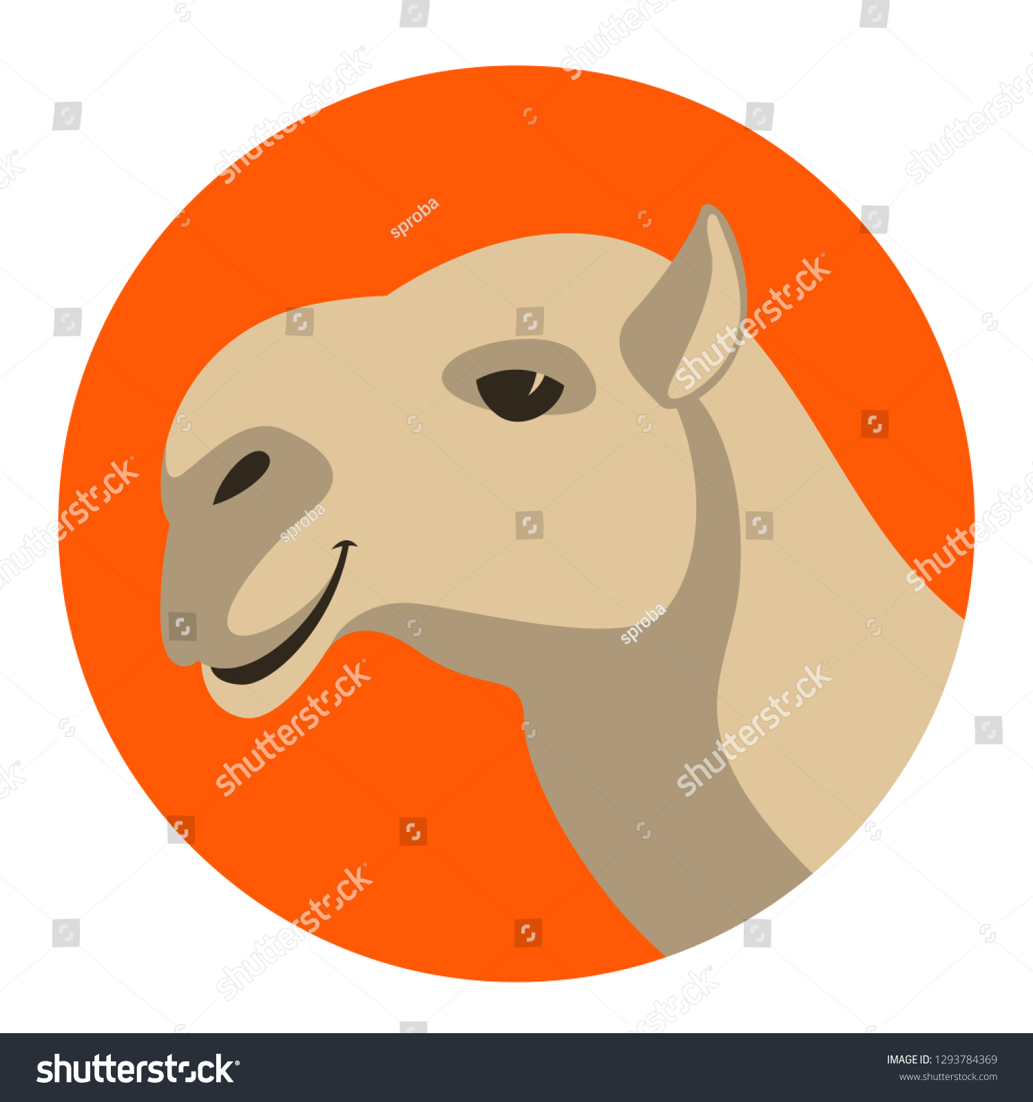 Camel Head Vector Illustration Flat Style Stock Vector (Royalty Free ...