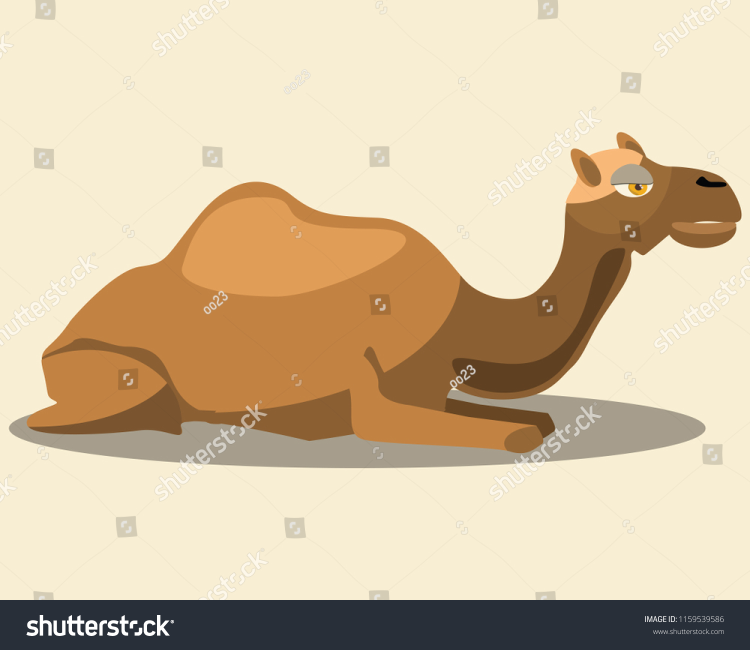 71 Sleeping camel Stock Illustrations, Images & Vectors | Shutterstock