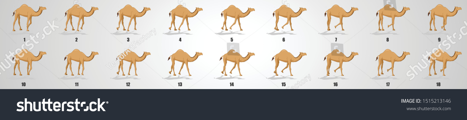 Camel Walk Cycle Animation Sequence Animation: Vector có sẵn (miễn phí ...
