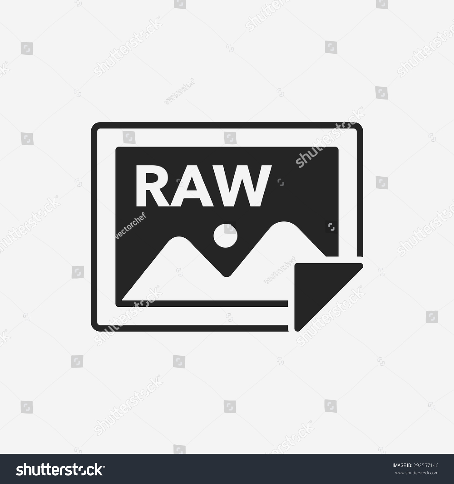 Camera Raw Icon Stock Vector (Royalty Free) 292557146 | Shutterstock