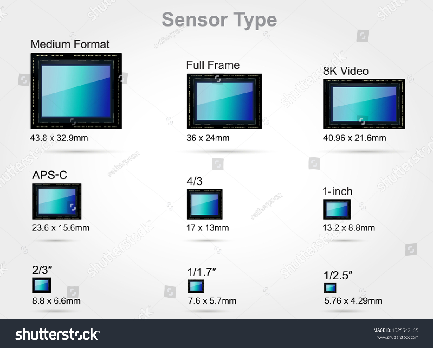 Camera Sensor Size On Scale: vector de stock (libre de regalías ...