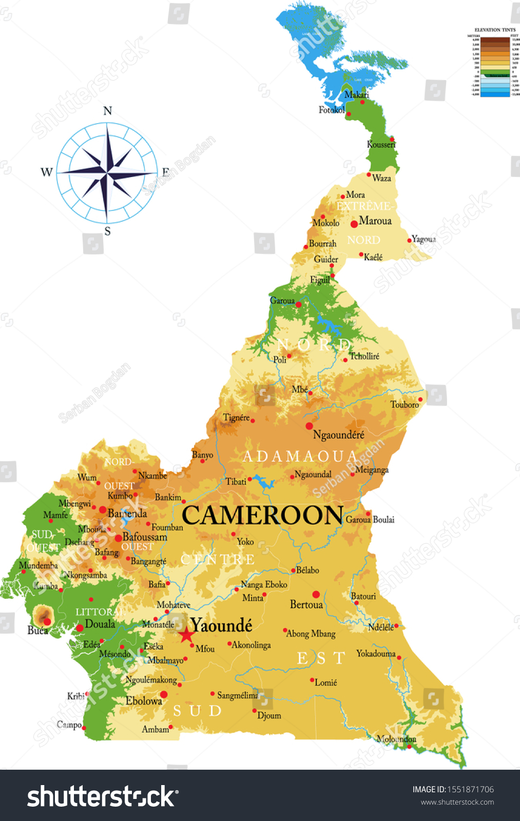 Cameroon Highly Detailed Physical Map Stock Vector (Royalty Free ...