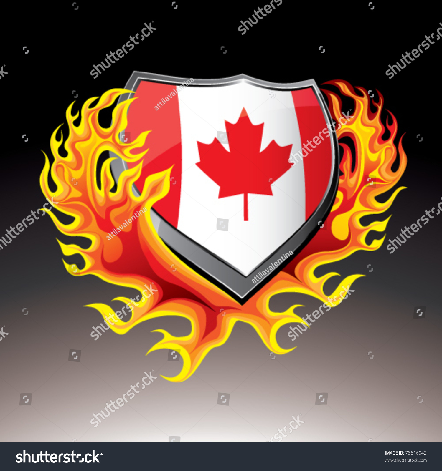 Canadian Shield In Flame Stock Vector Illustration 78616042 : Shutterstock
