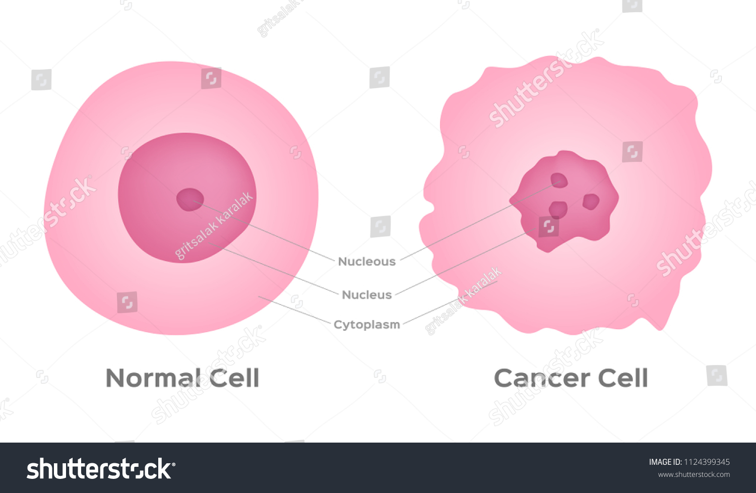 Human cell drawing Images, Stock Photos & Vectors | Shutterstock