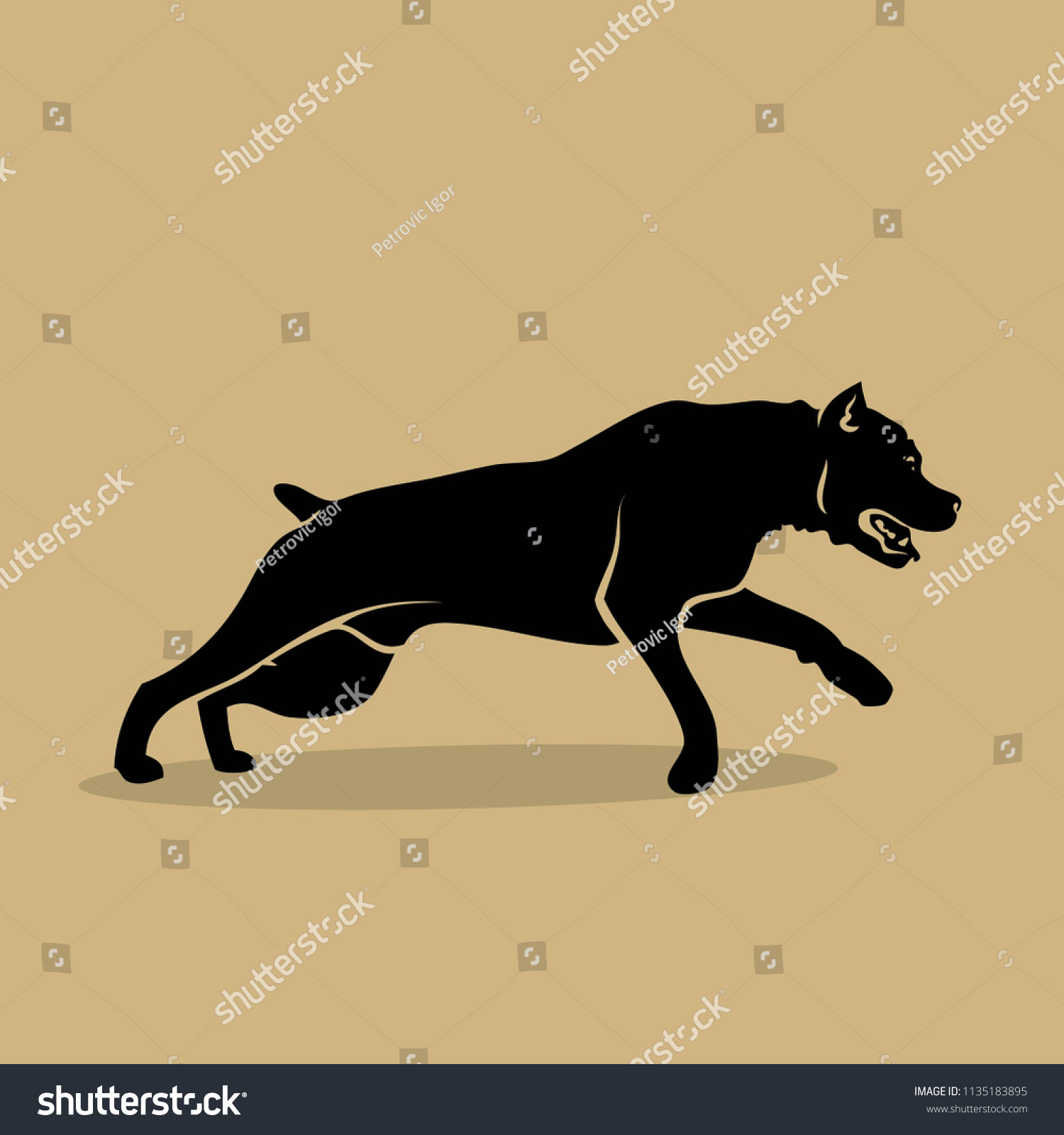 Cane Corso Dog Isolated Vector Illustration Stock Vector (Royalty Free ...