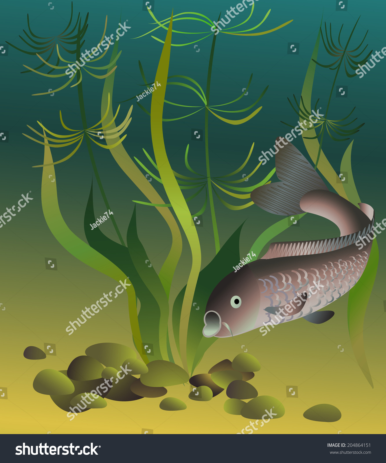 Card Design Common Carp Vector Print Stock Vector (Royalty Free ...