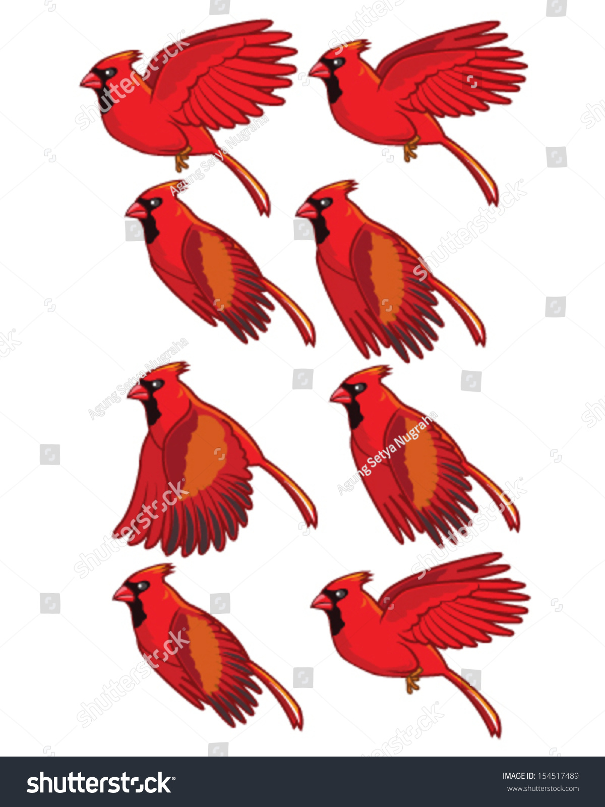 Cardinal Bird Flying Animation: vector de stock (libre de regalías ...