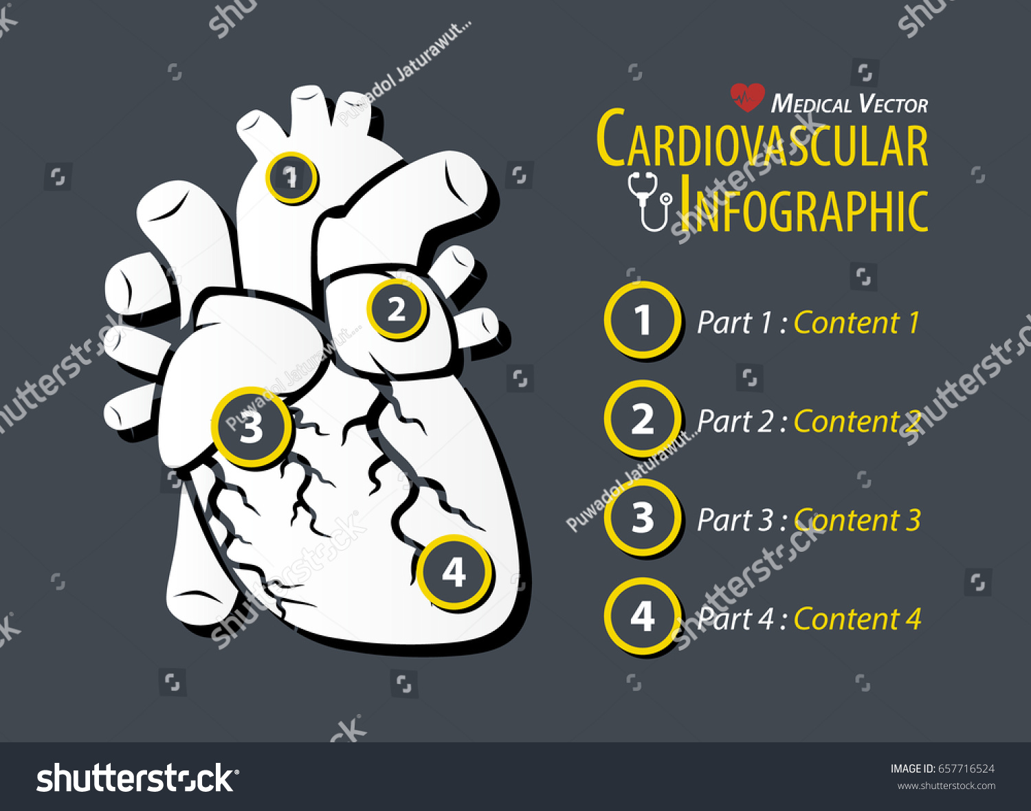 Cardiovascular Infographic Flat Design Stock Vector (Royalty Free ...