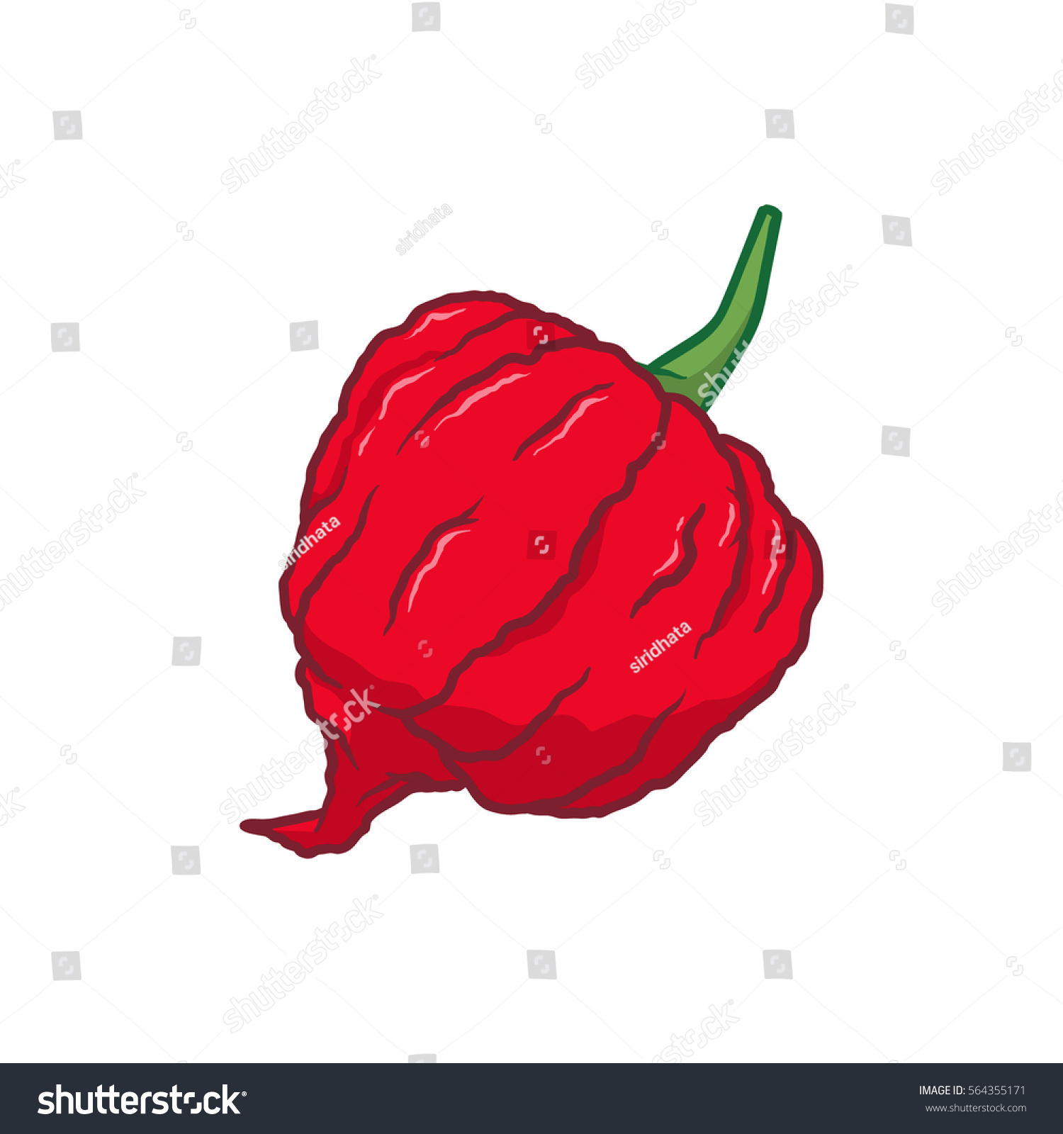 Carolina Reaper Chilli Pepper Vector Illustration: vetor stock (livre ...