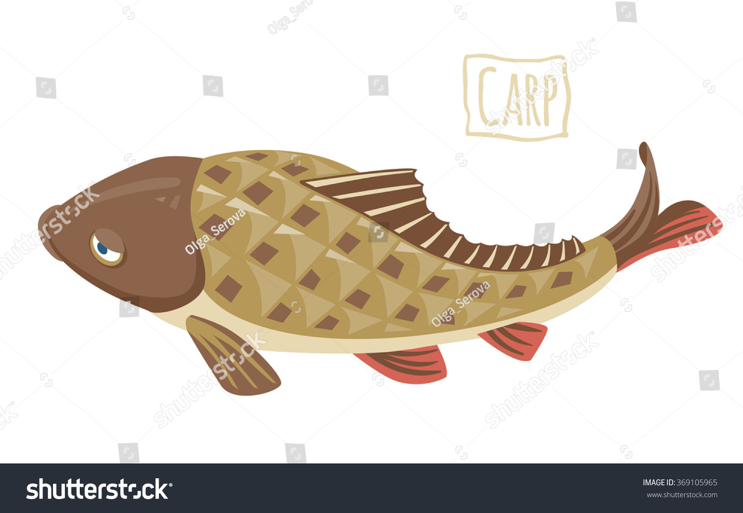Carp Vector Cartoon Illustration Stock Vector (Royalty Free) 369105965