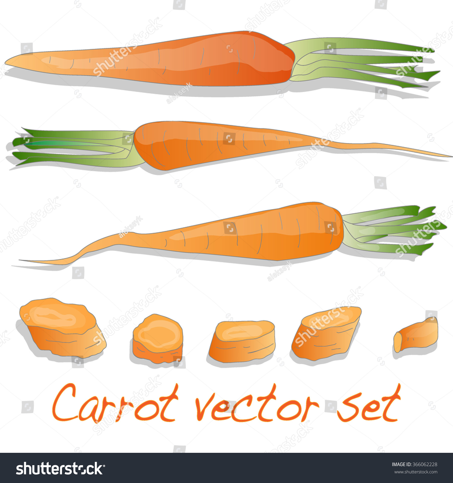 Carrot Vector Set Isolated Stock Vector (Royalty Free) 366062228 ...
