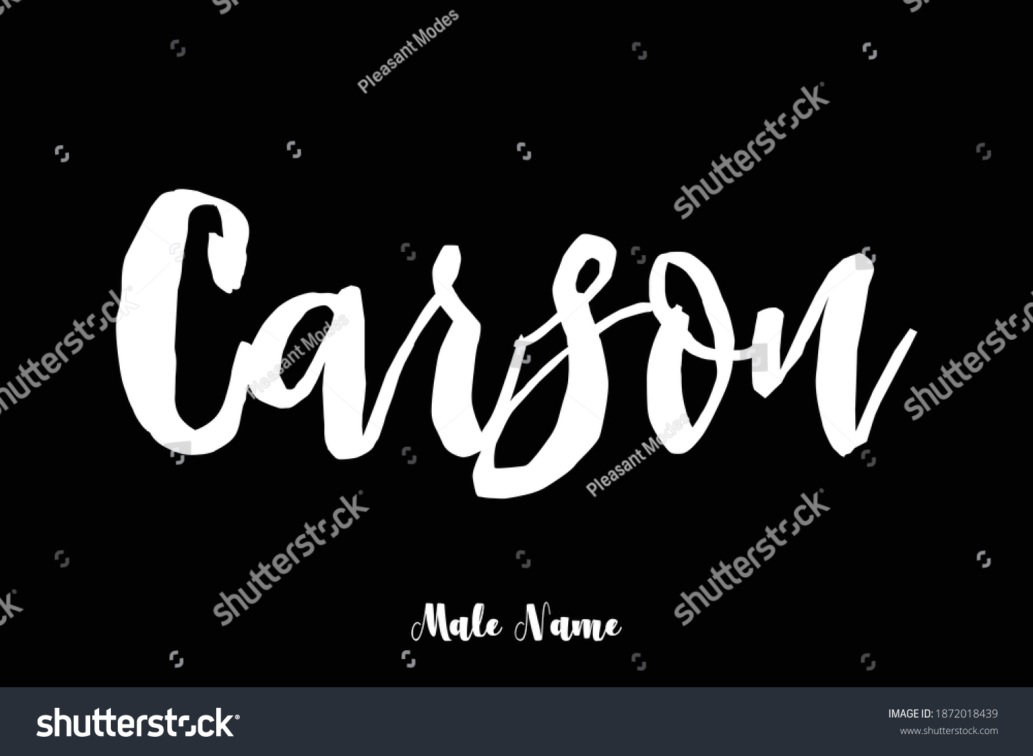 Carsonmale Name Bold Cursive Calligraphy Typeface: Vector có sẵn (miễn ...