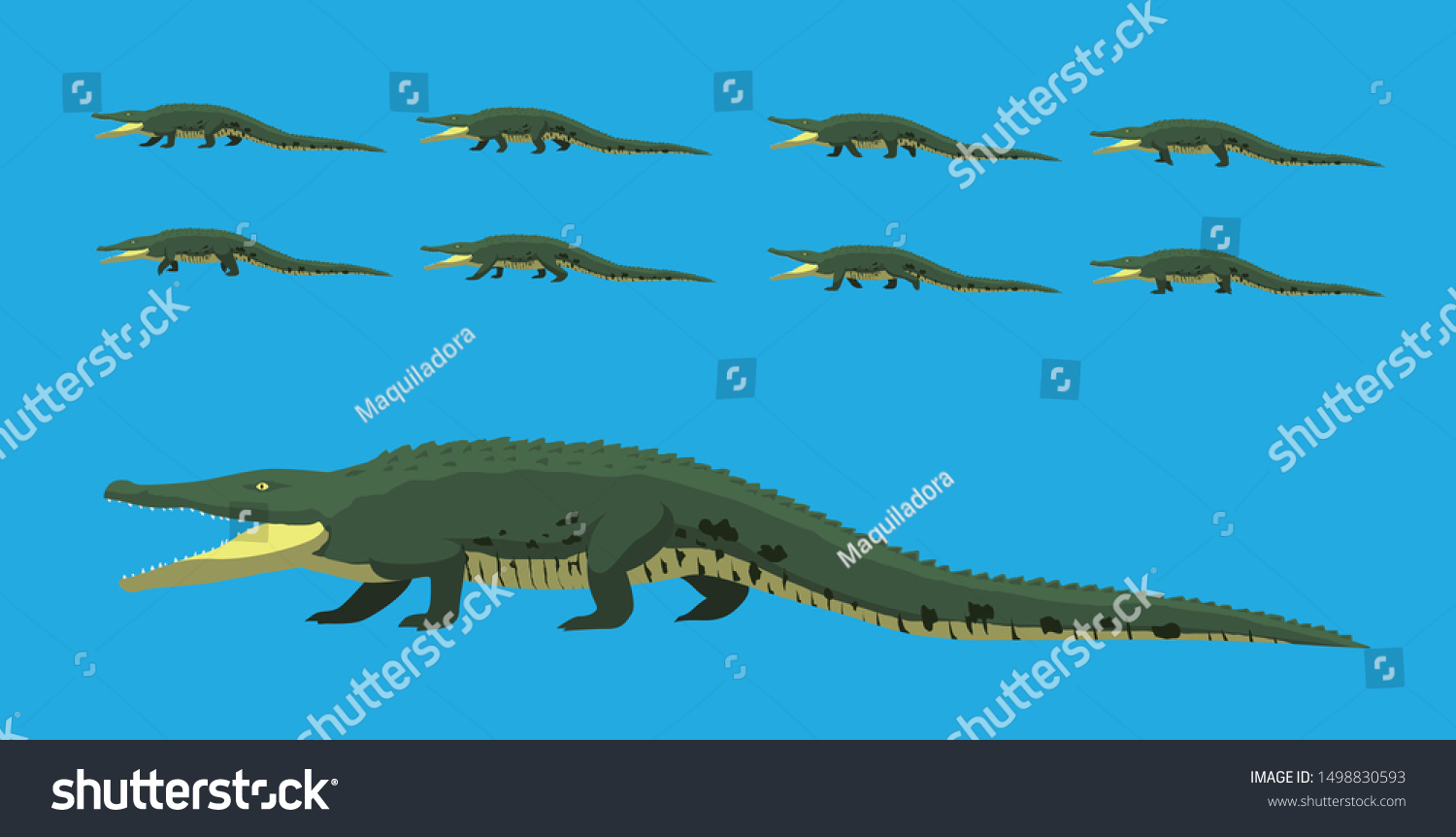 Cartoon Alligator Walking Animation Vector Stock Vector (Royalty Free ...
