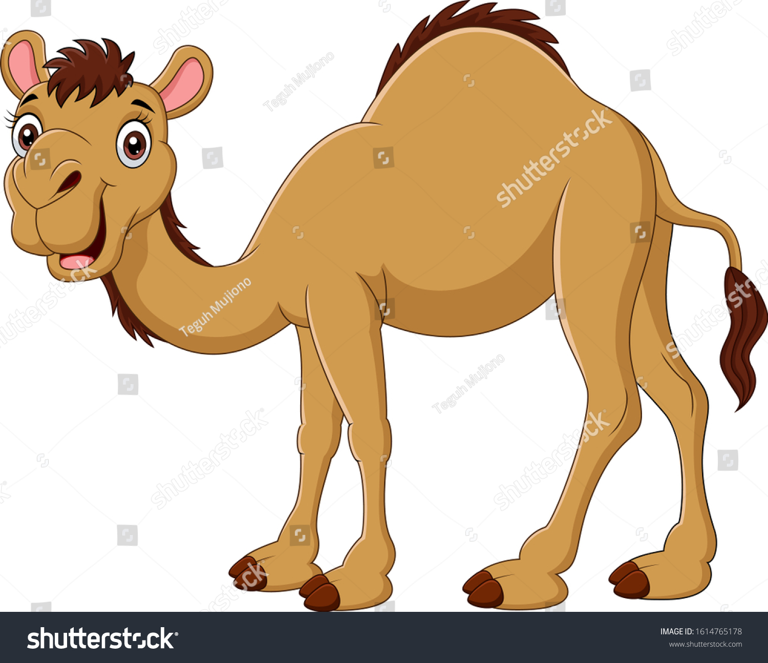 Cartoon Camel Isolated On White Background Stock Vector (Royalty Free ...