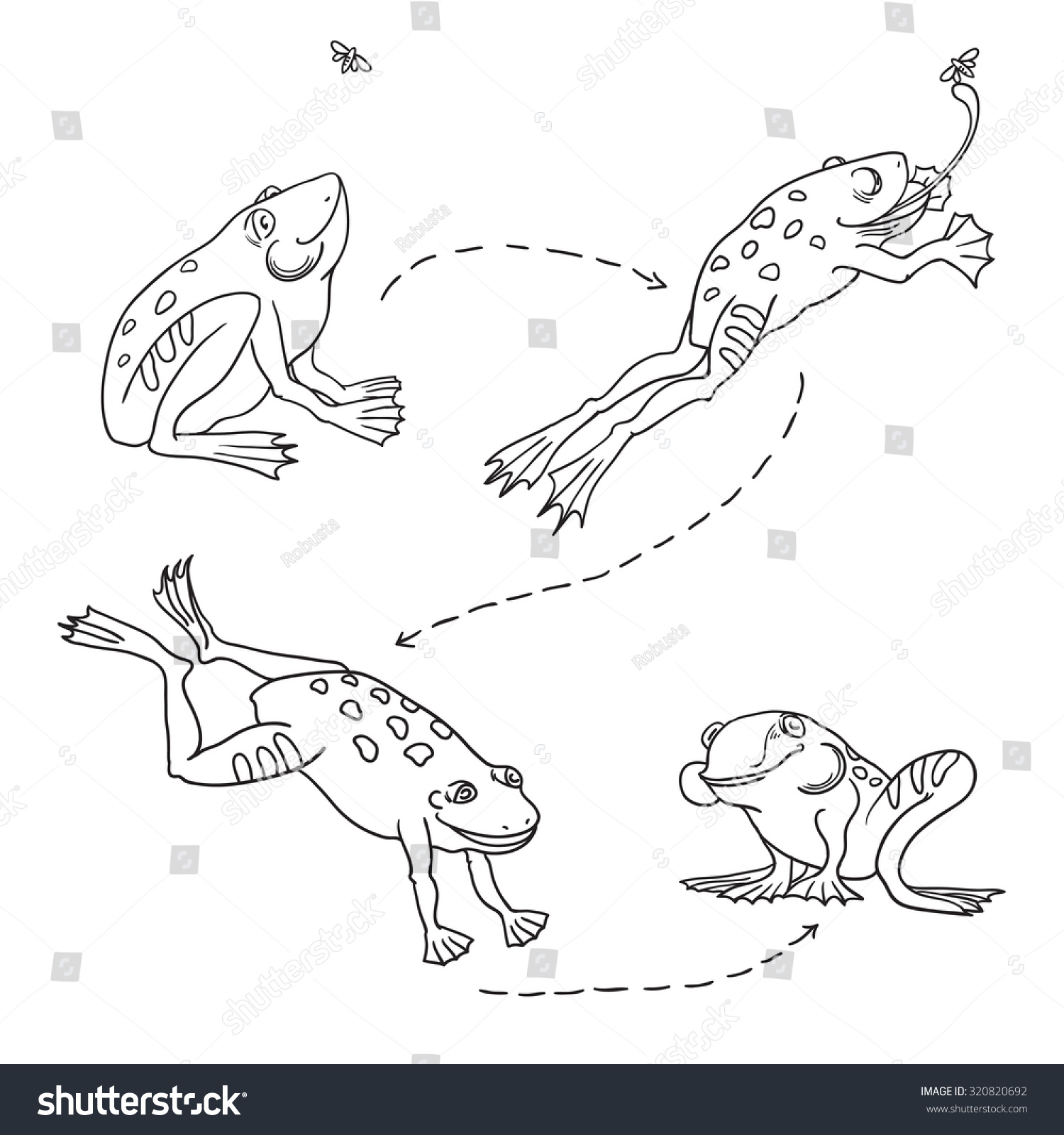 874 Frog jump outline Images, Stock Photos & Vectors | Shutterstock
