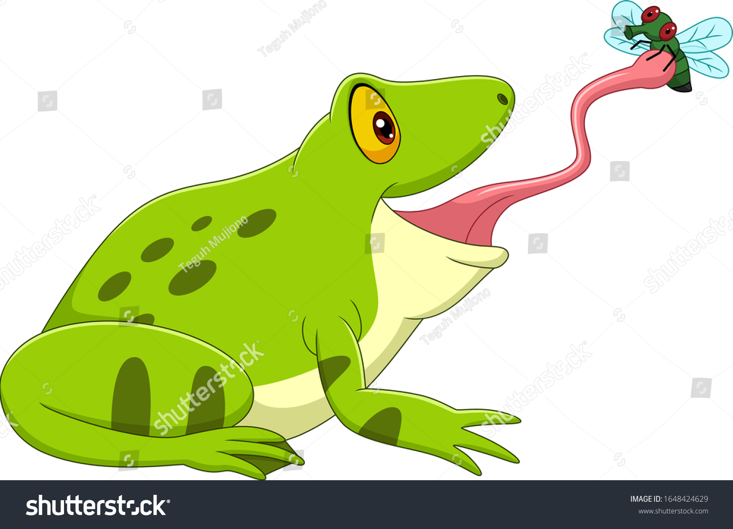 Cartoon Frog Catching Fly: เวกเตอร์สต็อก (ปลอดค่าลิขสิทธิ์) 1648424629 ...