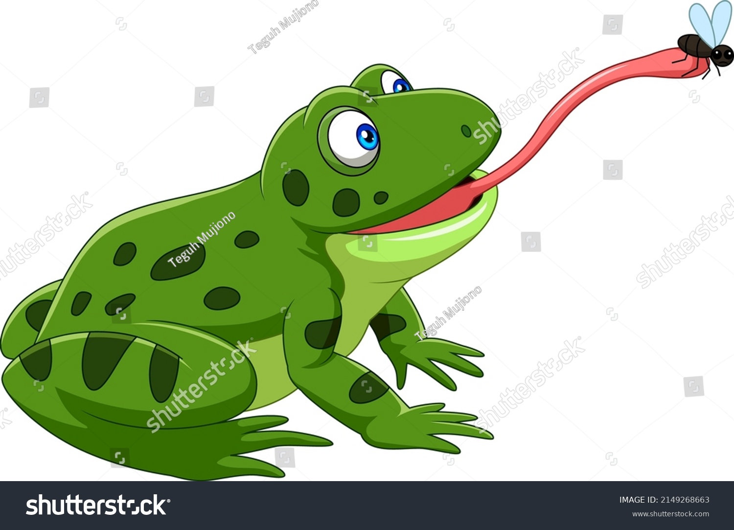 5,480 Frog flies Images, Stock Photos & Vectors | Shutterstock
