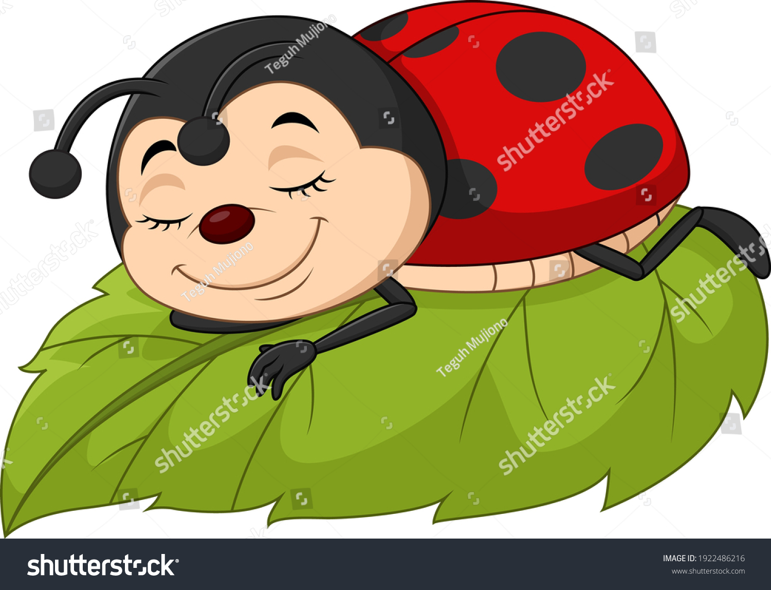 668 Beetle sleeps Images, Stock Photos & Vectors | Shutterstock