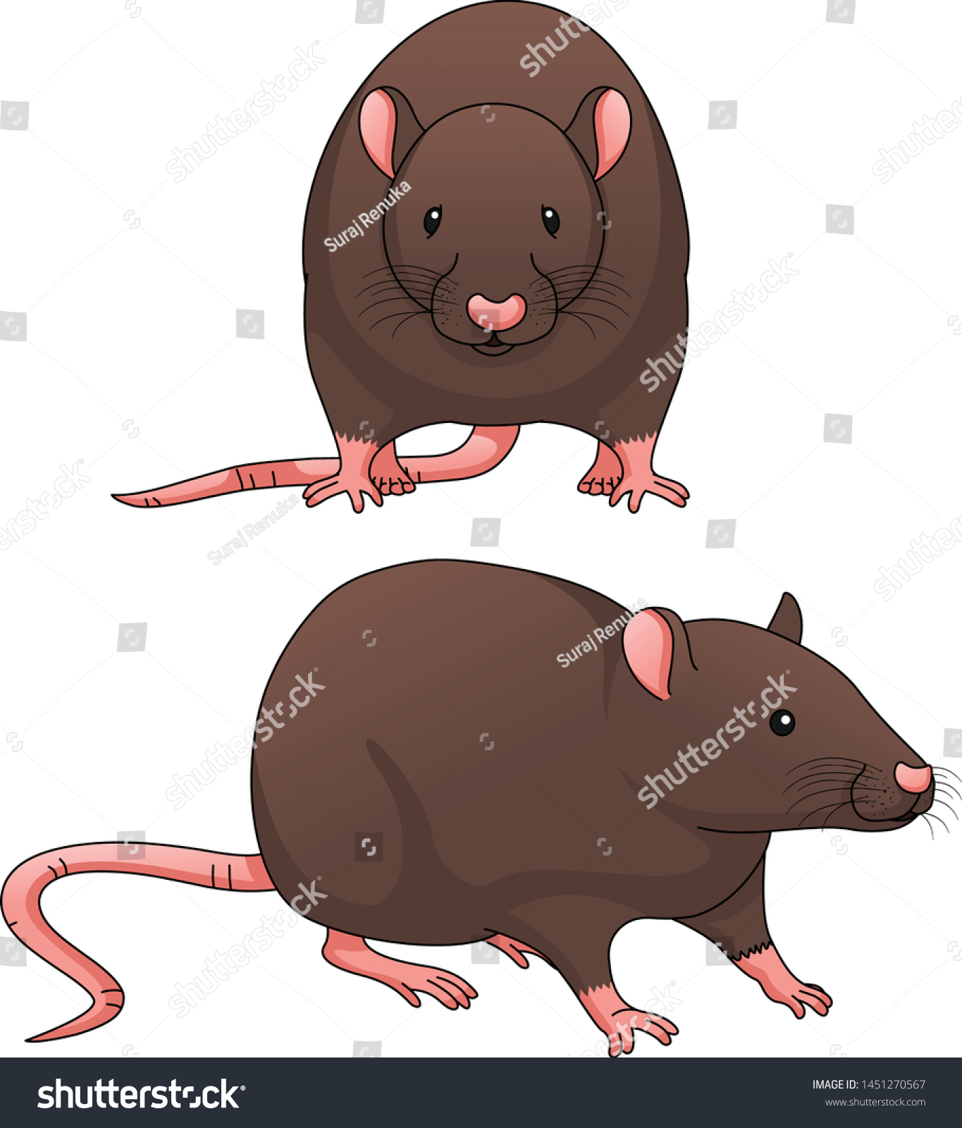 Cartoon Mouse Vector Rat Front Side Stock Vector (Royalty Free) 1451270567