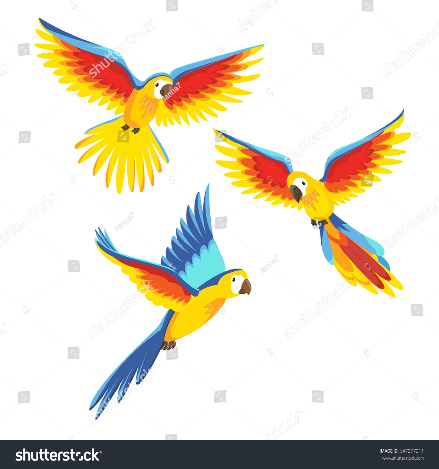 Cartoon Parrots Set Stock Vector (Royalty Free) 647277211 | Shutterstock