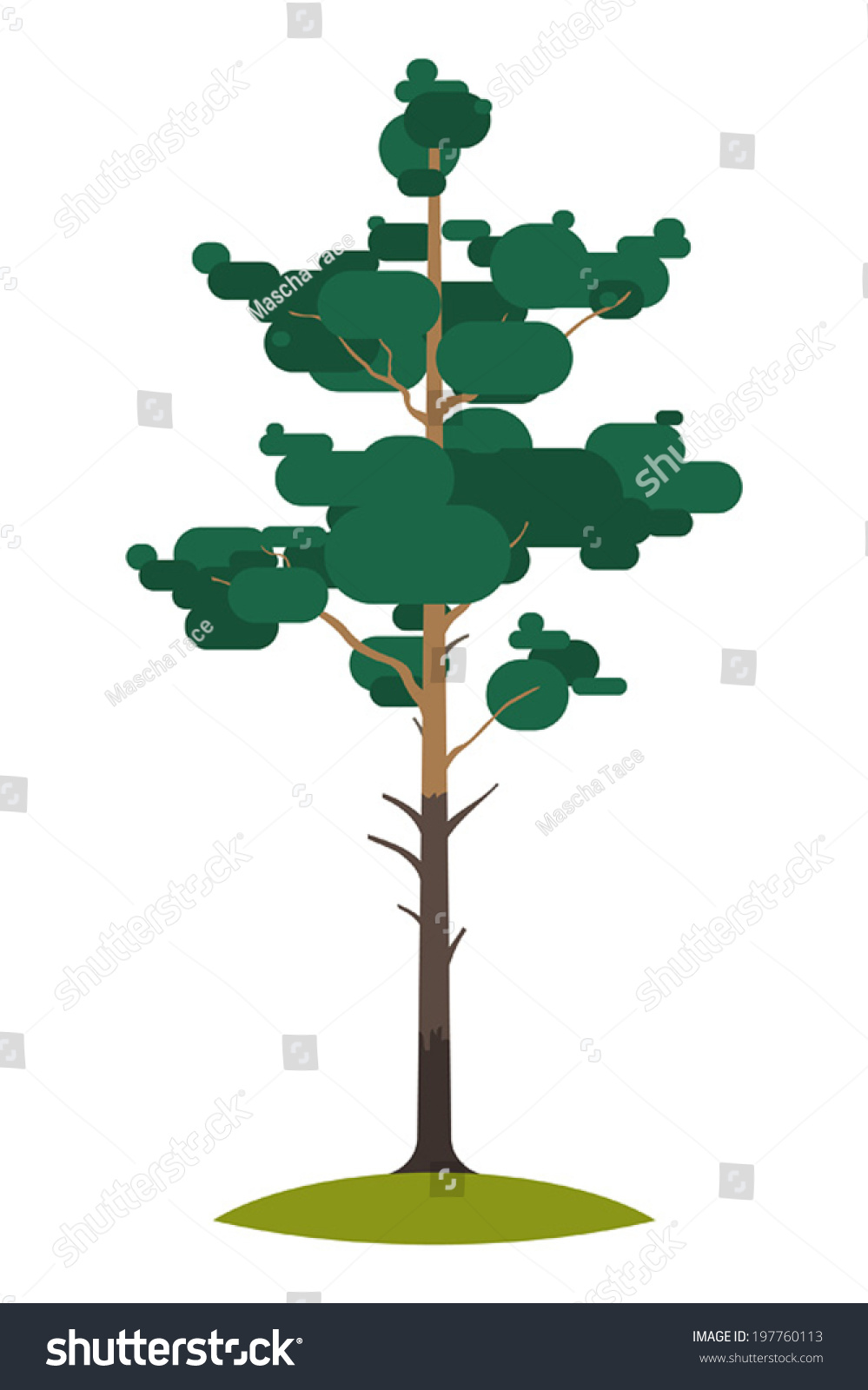 Cartoon Pine Tree On Transparent Background Stock Vector (Royalty Free ...