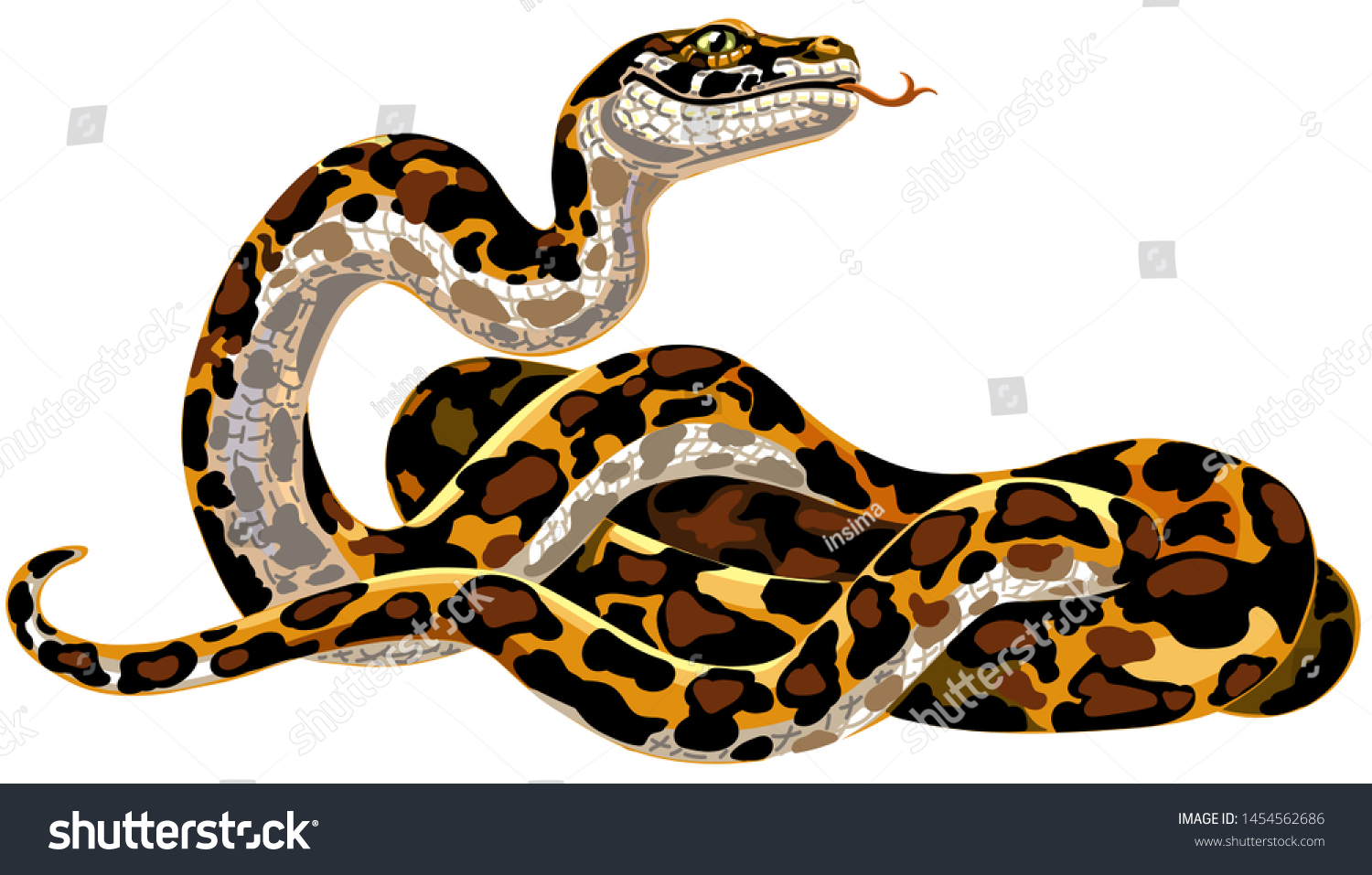 Cartoon Python Big Snake Boa Constrictor: vetor stock (livre de ...