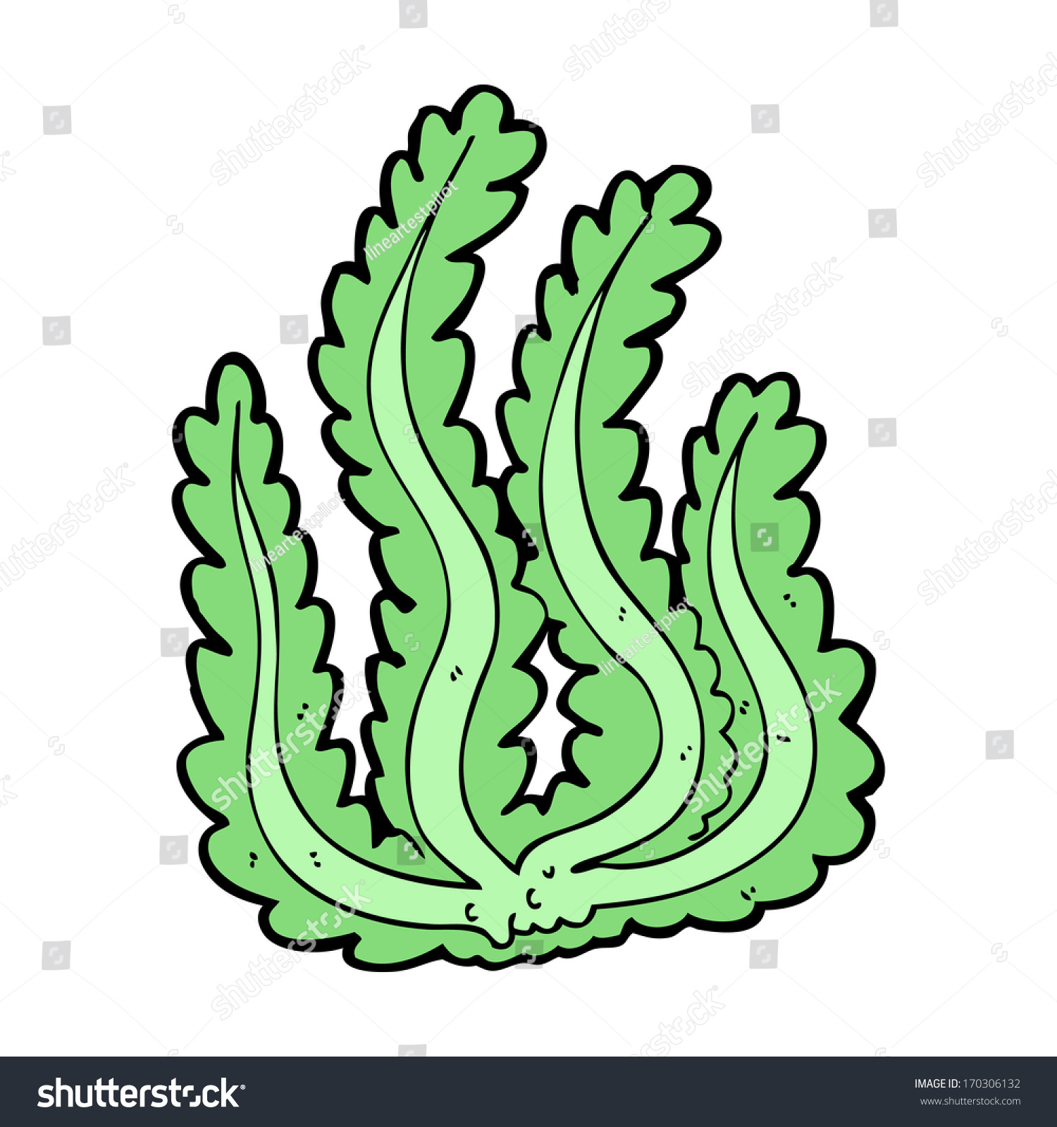 caricatura de algas marinas: vector de stock (libre de regalías) 170306132