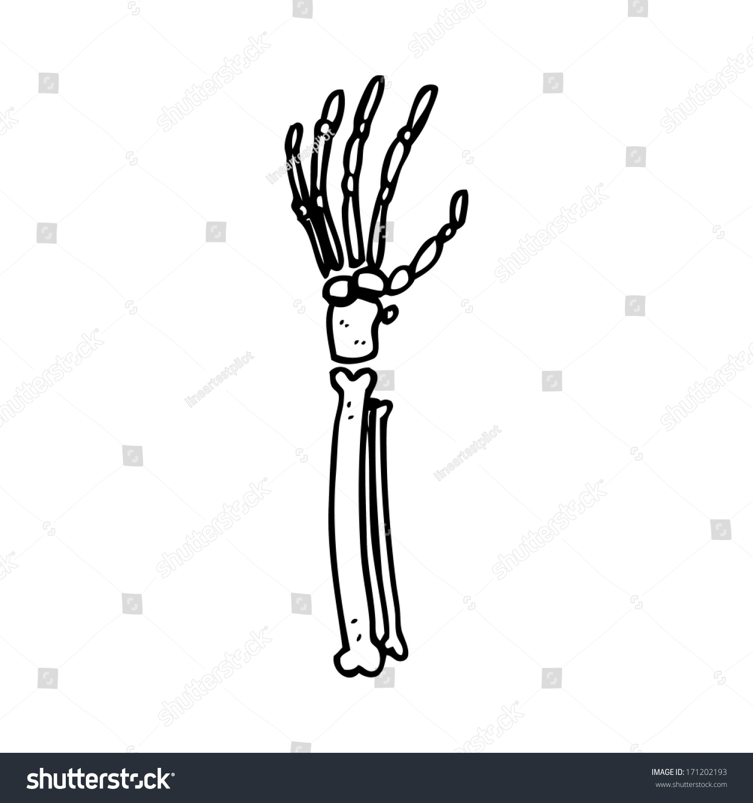 Cartoon Skeleton Hand Stock Vector (Royalty Free) 171202193 | Shutterstock
