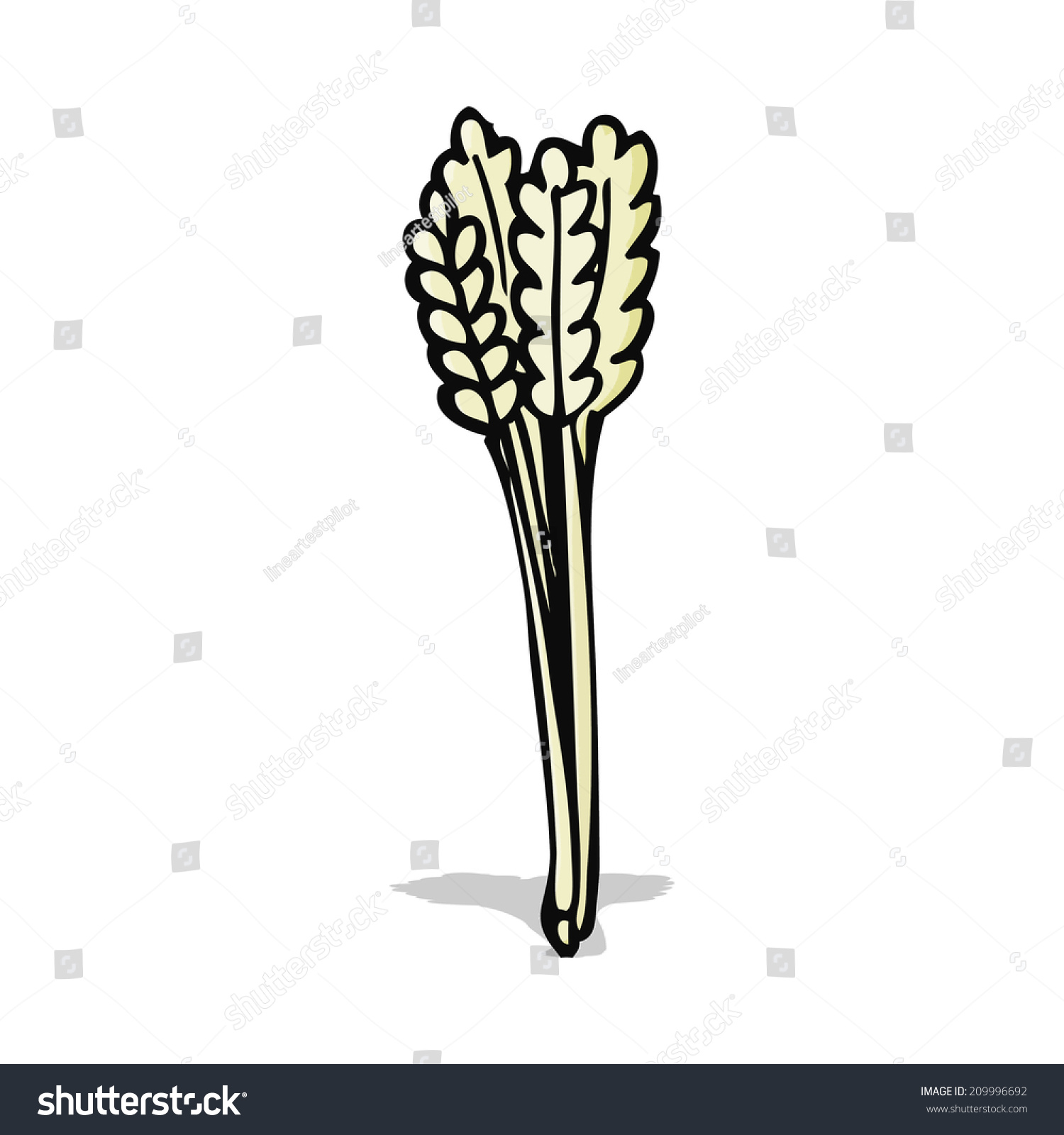 Cartoon Straw Stock Vector (Royalty Free) 209996692 | Shutterstock