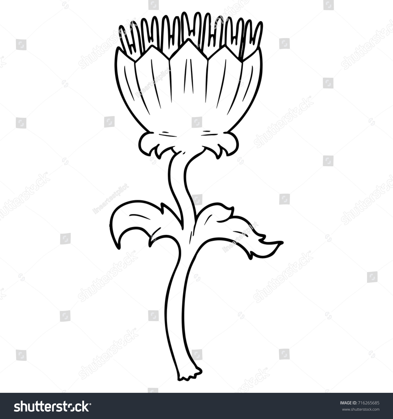 Cartoon Thistle Stock Vector (Royalty Free) 716265685